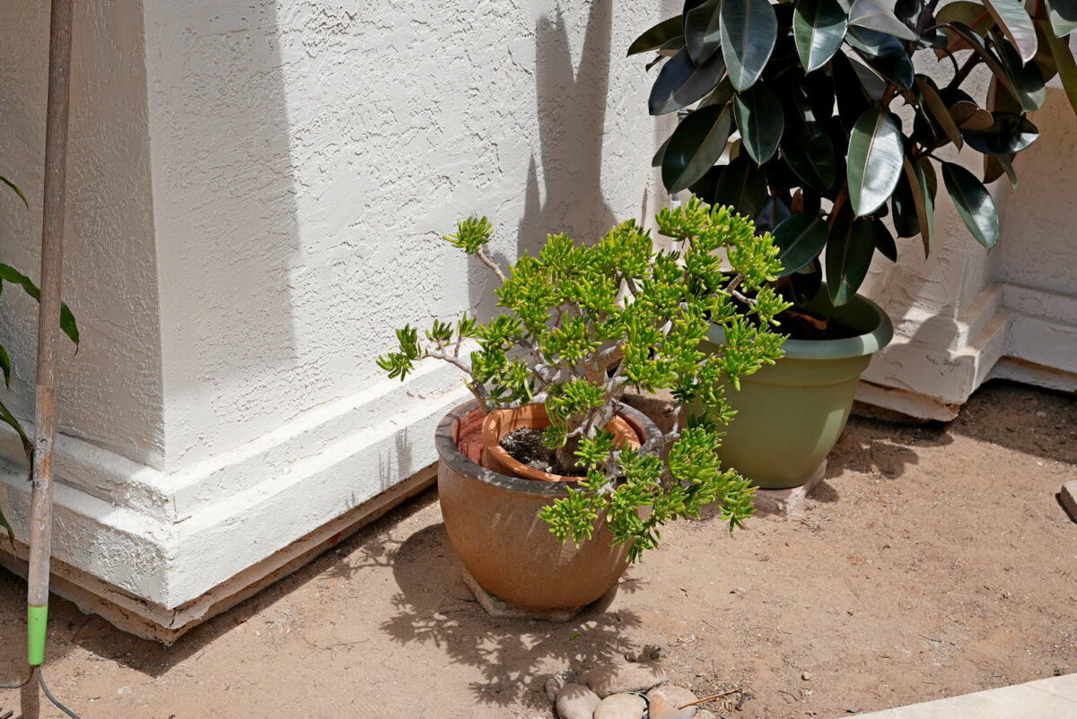 Coastal Curb Appeal: Stunning Exterior Painting in Del Mar, CA ...